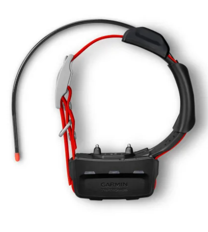 Track & Train Collars – Dog and Hunt Supply