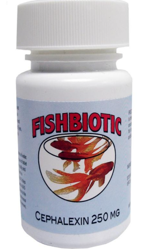 FishBiotic Cephalexin Capsules